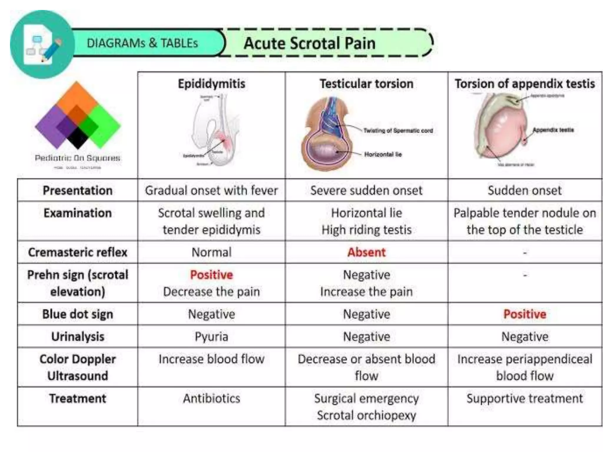 ACUTE SCROTUM.pptx