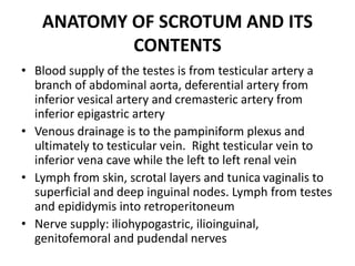 ACUTE SCROTUM.pptx