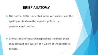 ACUTE SCROTUM.pptx