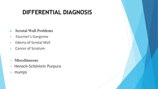 ACUTE SCROTUM.pptx