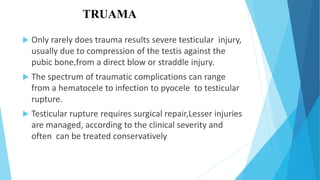 ACUTE SCROTUM.pptx