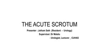 acute scrotum. The urological emergency.. | PPTX