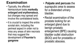 acute scrotum. The urological emergency.. | PPTX