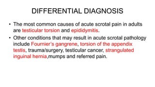 ACUTE SCROTUM POWER POINT PRESENTATION.pptx