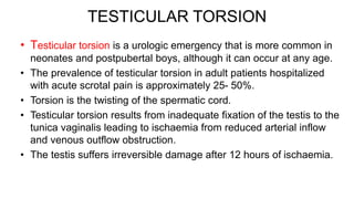 ACUTE SCROTUM POWER POINT PRESENTATION.pptx