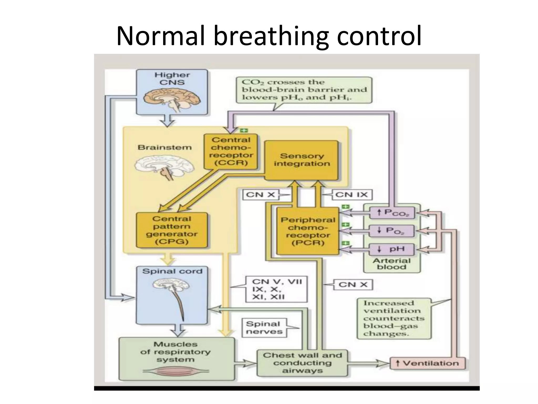 Approach to Acute shortness of breath | PPTX