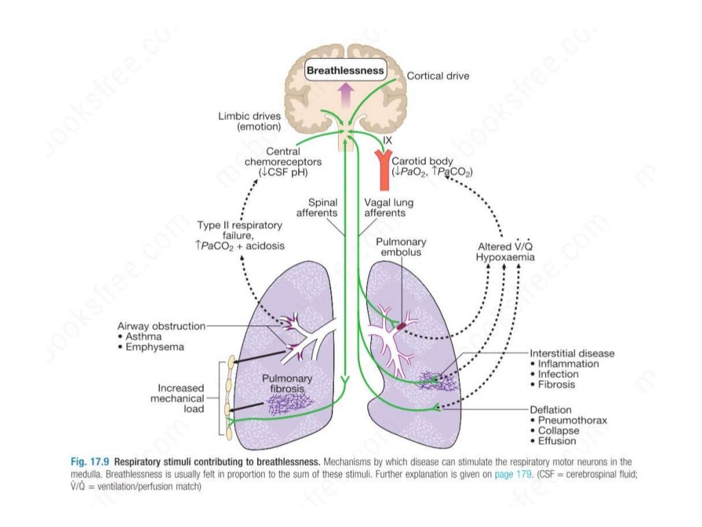 Approach to Acute shortness of breath