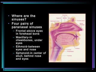 Acute sinusitis | PPT