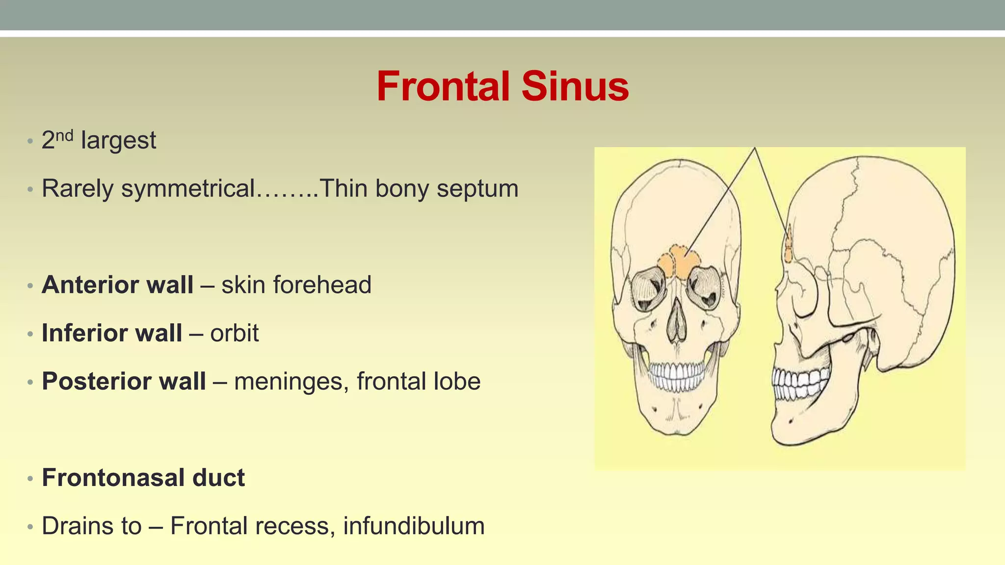 Acute sinusitis | PPTX