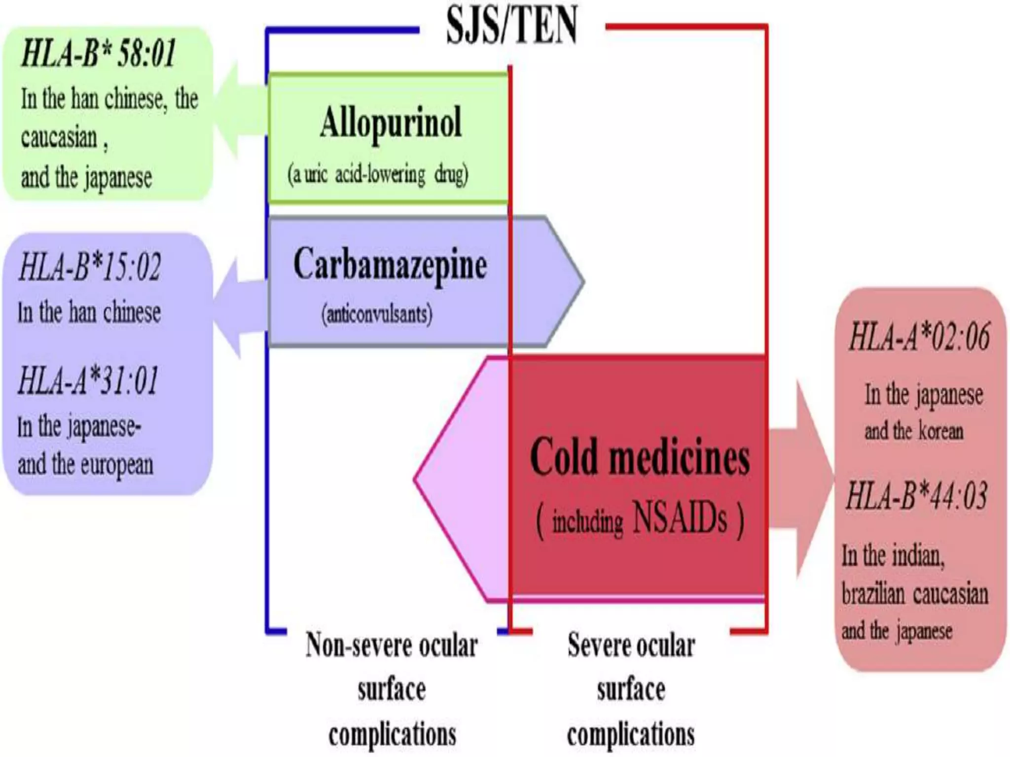 Acute skin failure | PPTX