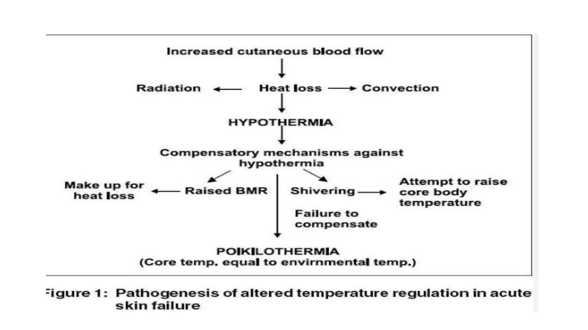 acute skin failure.pptx