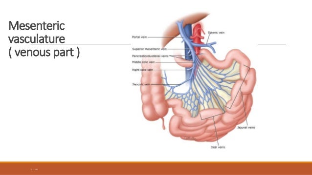 Acute smv thrombosis