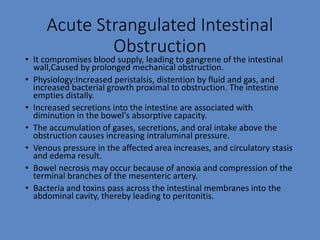 acute Strangulated Intestinal Obstruction -Bhadra.pptx