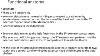 Acute Tendon injury of the Hand and its Repair.pptx