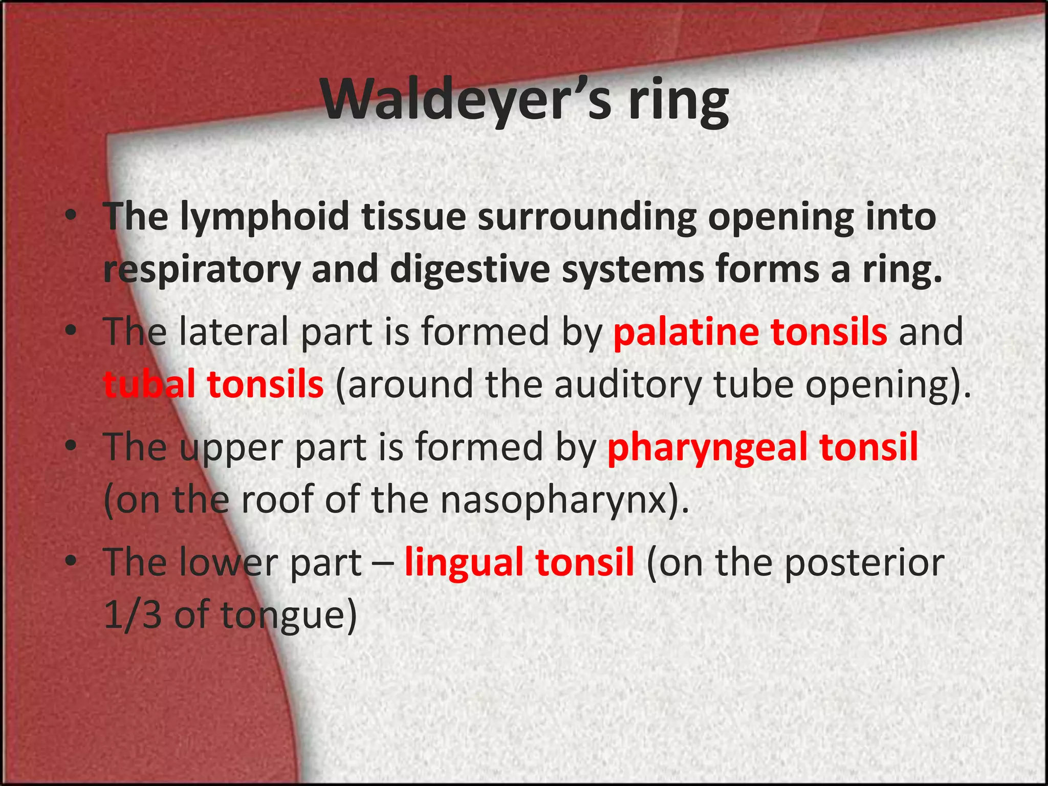 Acute tonsillitis | PPTX