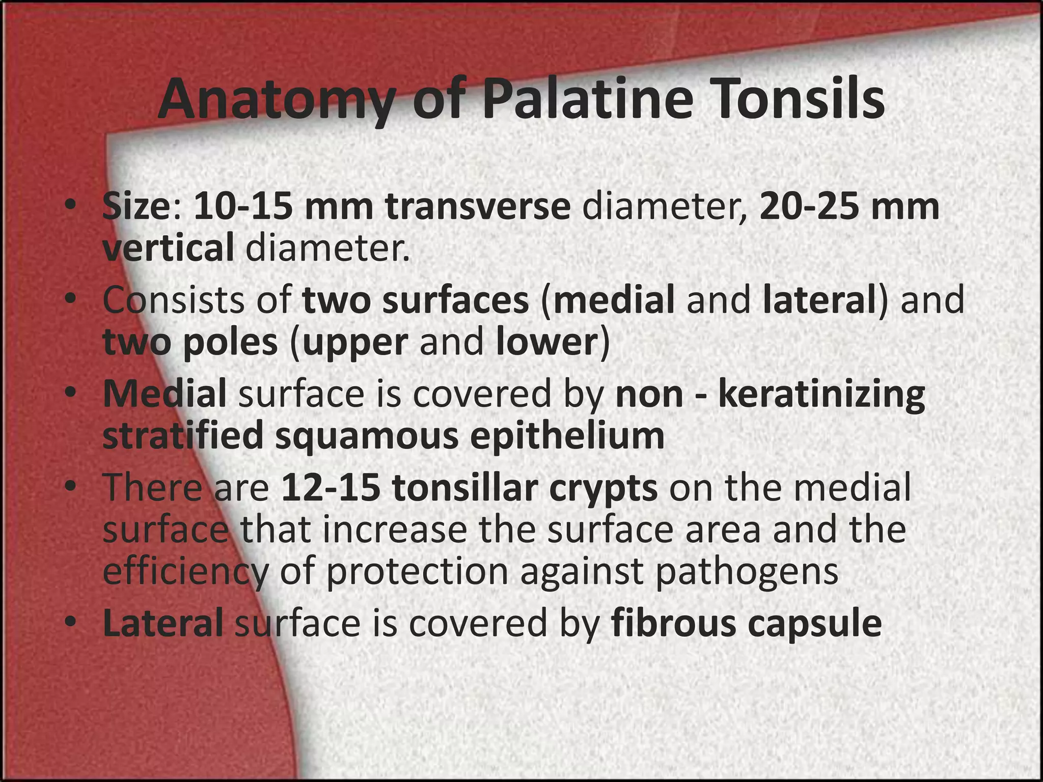 Acute tonsillitis | PPTX