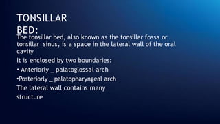 ACUTE TONSILLITIS 35.pptx ACUTE TONSILLITIS 35.pptx