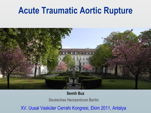 Acute traumatic aortic rupture | PPT | First Aid | Injuries