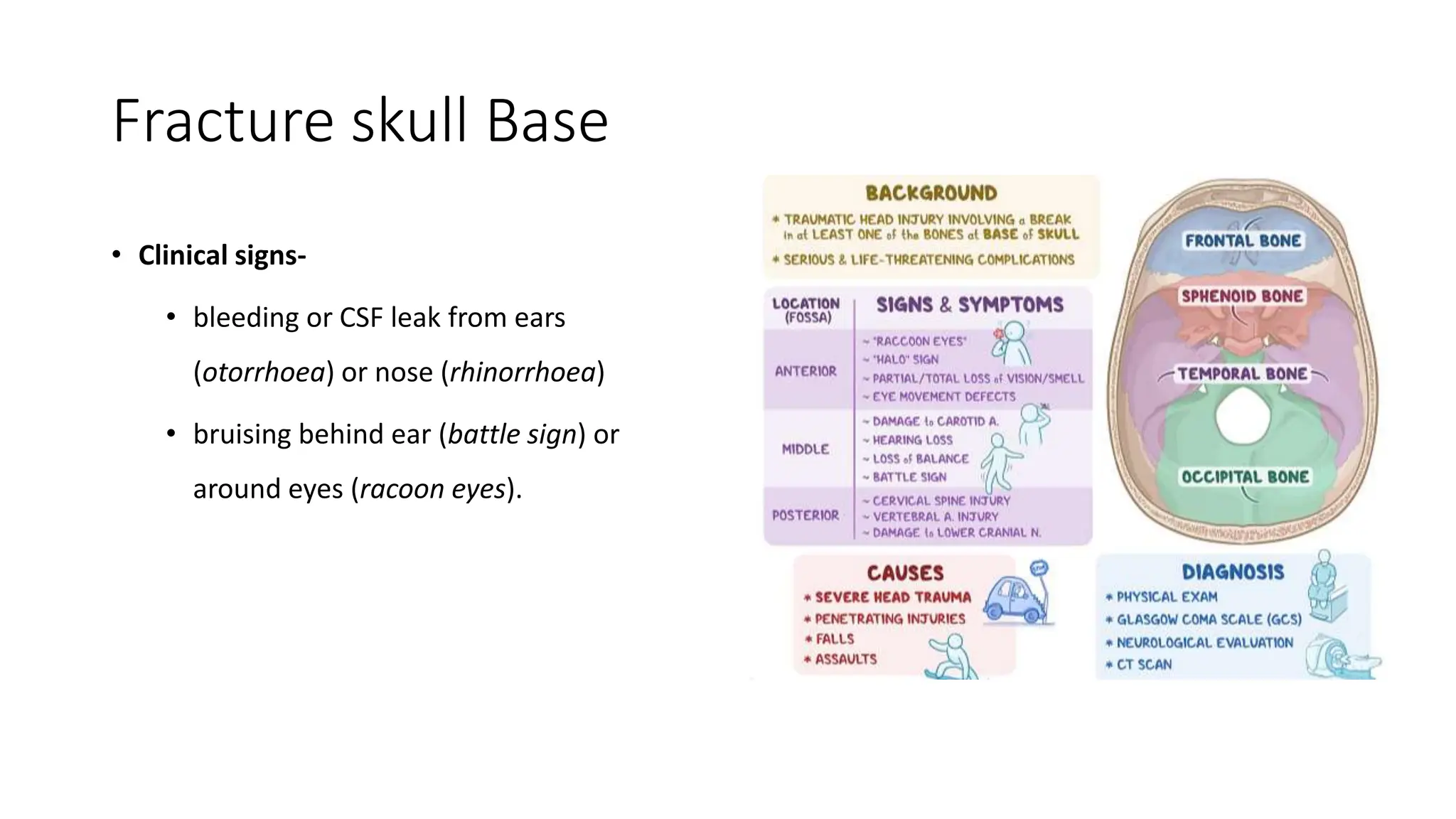 ACUTE TRAUMATIC BRAIN INJURY - PRESENTATION AND MANAGEMENT | PPTX ...