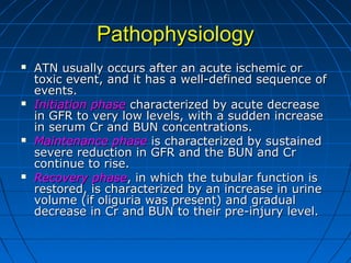 Acute tubular necrosis | PPT