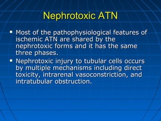 Acute tubular necrosis | PPT