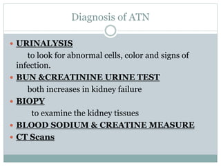 Acute Tubular Necrosis | PPTX
