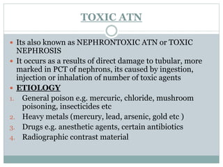 Acute Tubular Necrosis | PPTX