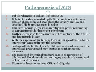 Acute Tubular Necrosis | PPTX