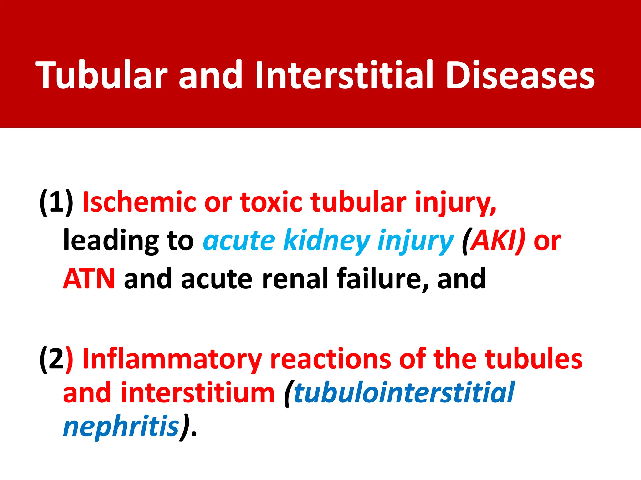 kidney pathology Acute tubular necrosis .pptx