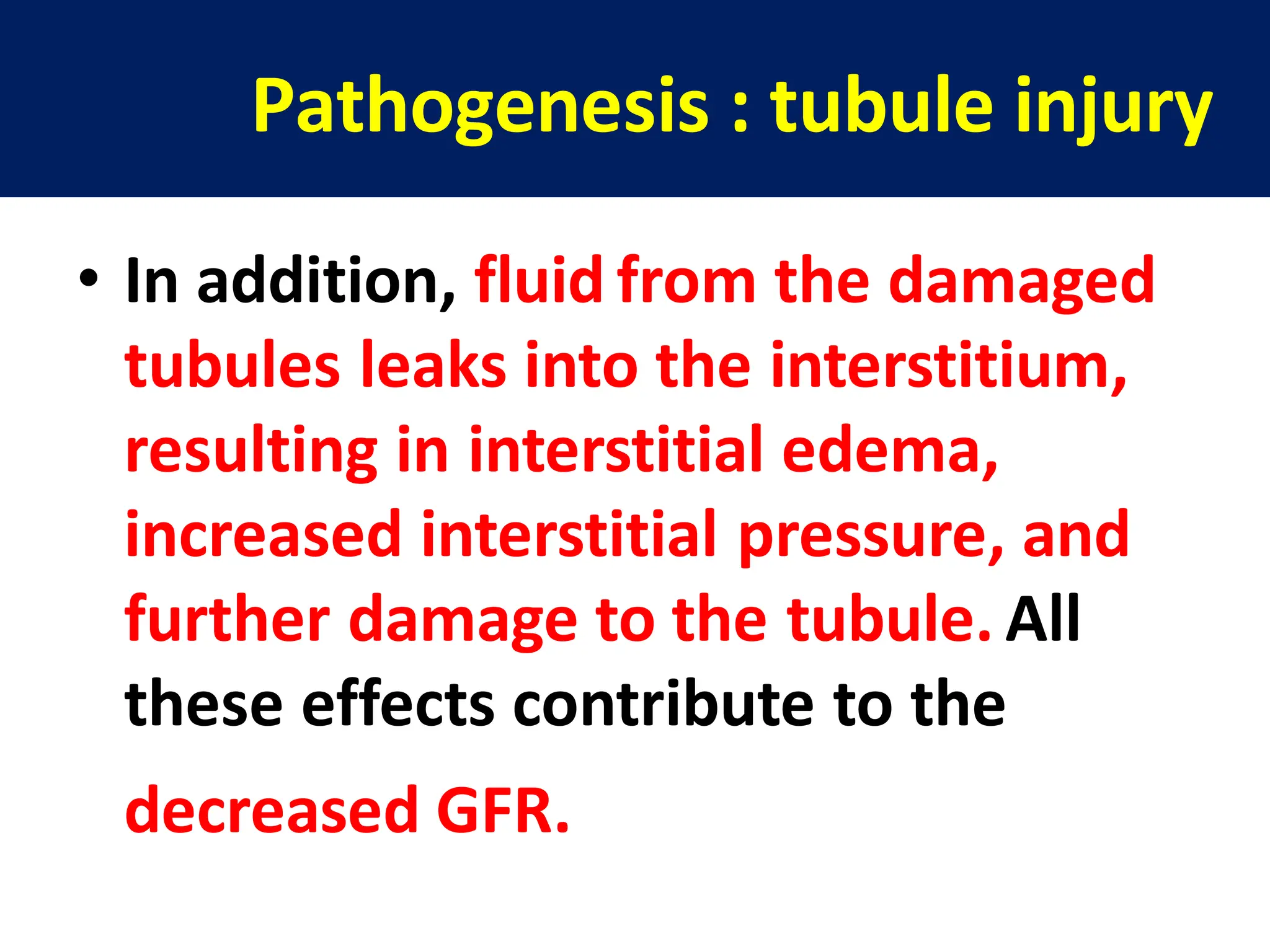 kidney pathology Acute tubular necrosis .pptx