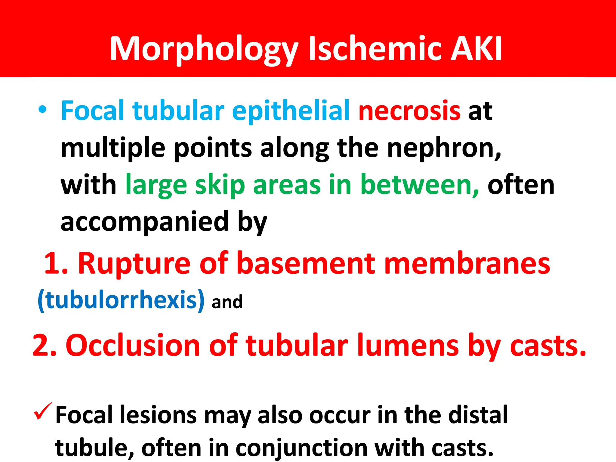 kidney pathology Acute tubular necrosis .pptx