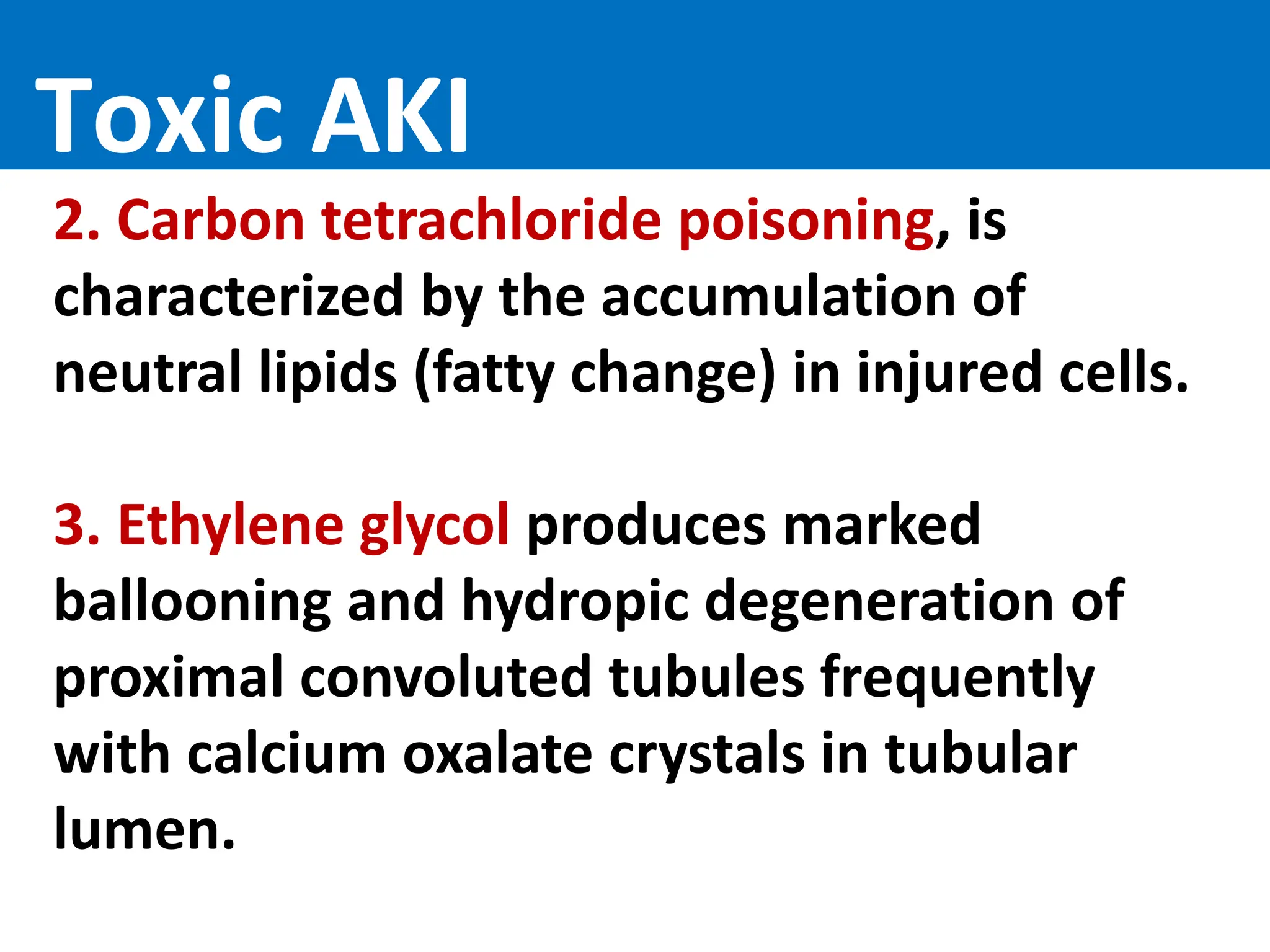 kidney pathology Acute tubular necrosis .pptx