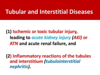 kidney pathology Acute tubular necrosis .pptx