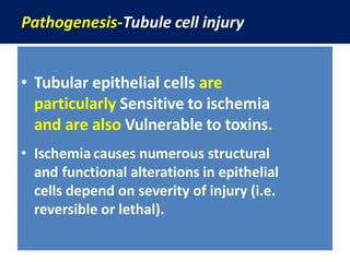 kidney pathology Acute tubular necrosis .pptx