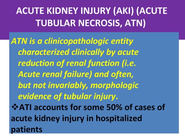 kidney pathology Acute tubular necrosis .pptx