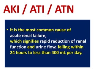 kidney pathology Acute tubular necrosis .pptx