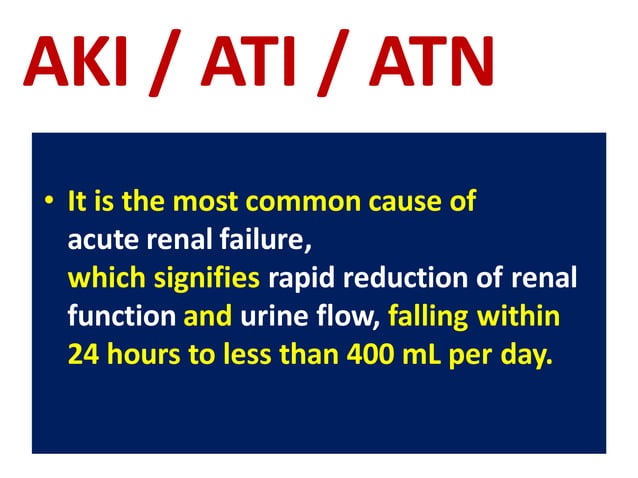 kidney pathology Acute tubular necrosis .pptx