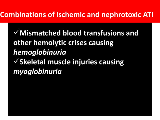 kidney pathology Acute tubular necrosis .pptx