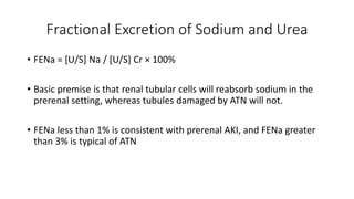 ACUTE TUBULAR NECROSIS BY DR.SOHAN BISWAS,MBBS,DNB(INTERNAL MEDICINE ...