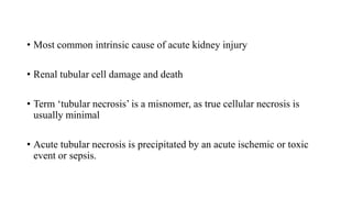 ACUTE TUBULAR NECROSIS BY DR.SOHAN BISWAS,MBBS,DNB(INTERNAL MEDICINE ...