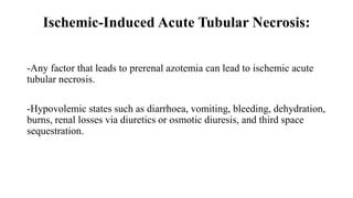 ACUTE TUBULAR NECROSIS BY DR.SOHAN BISWAS,MBBS,DNB(INTERNAL MEDICINE ...