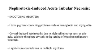 ACUTE TUBULAR NECROSIS BY DR.SOHAN BISWAS,MBBS,DNB(INTERNAL MEDICINE) RESIDENT.pptx
