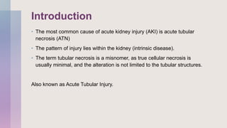 Acute Tubular Necrosis - Ischemic and Toxic ATN | PPTX
