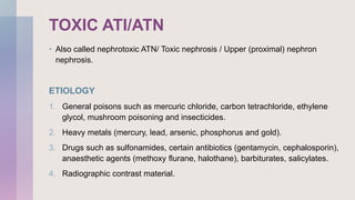 Acute Tubular Necrosis - Ischemic and Toxic ATN | PPTX