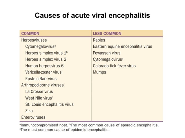 ACUTE VIRAL ENCEPHALITIS- clinical features and management | PPT
