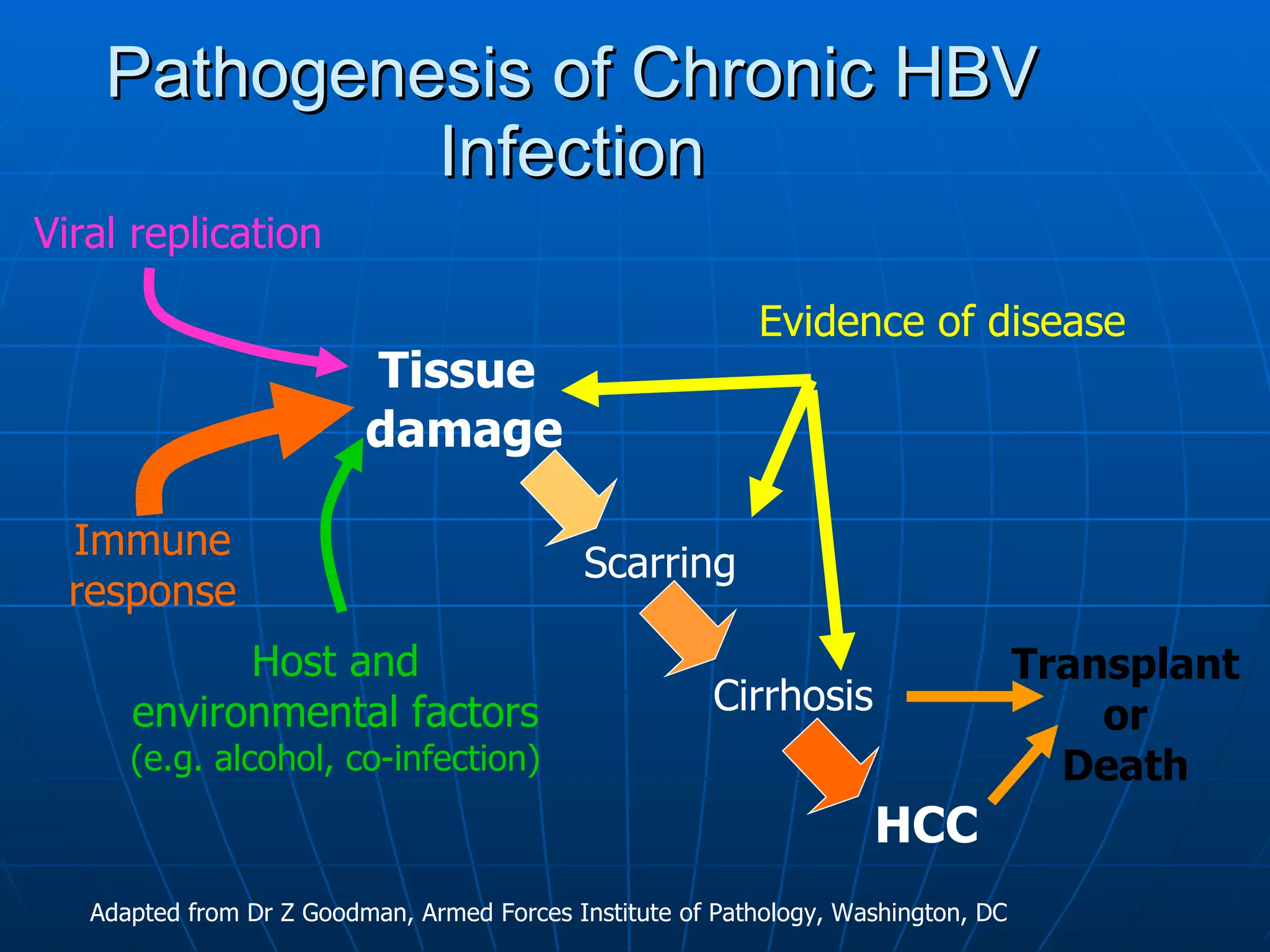 Acute viral hepatitis | PPT