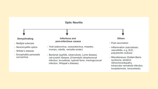 acute vision loss cme with case presentation 15022024 | PDF | Eye and ...