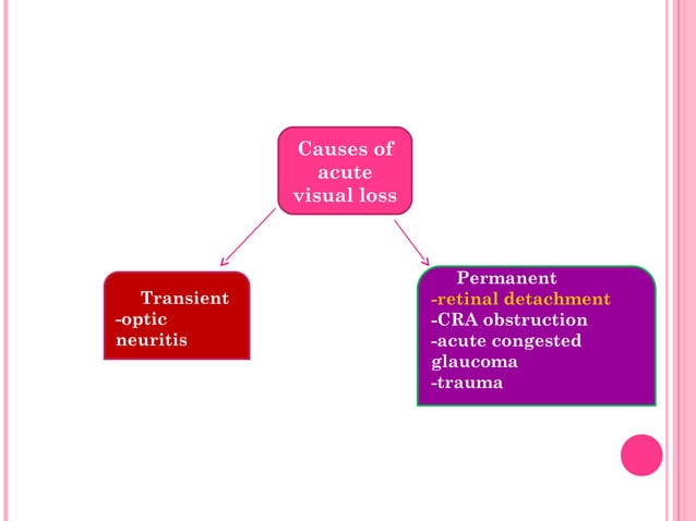 Acute Visual Loss | PPT | Eye and Vision Conditions | Diseases and ...