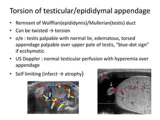 Acute vs chronic scrotal swelling | PPTX