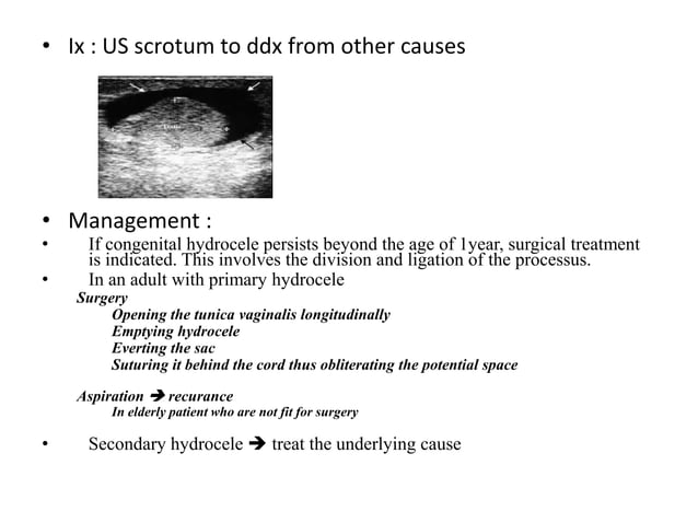 Acute vs chronic scrotal swelling | PPTX | Infertility | Reproductive Health